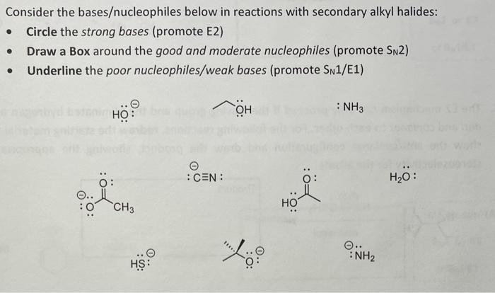 Solved Consider the bases/nucleophiles below in reactions | Chegg.com