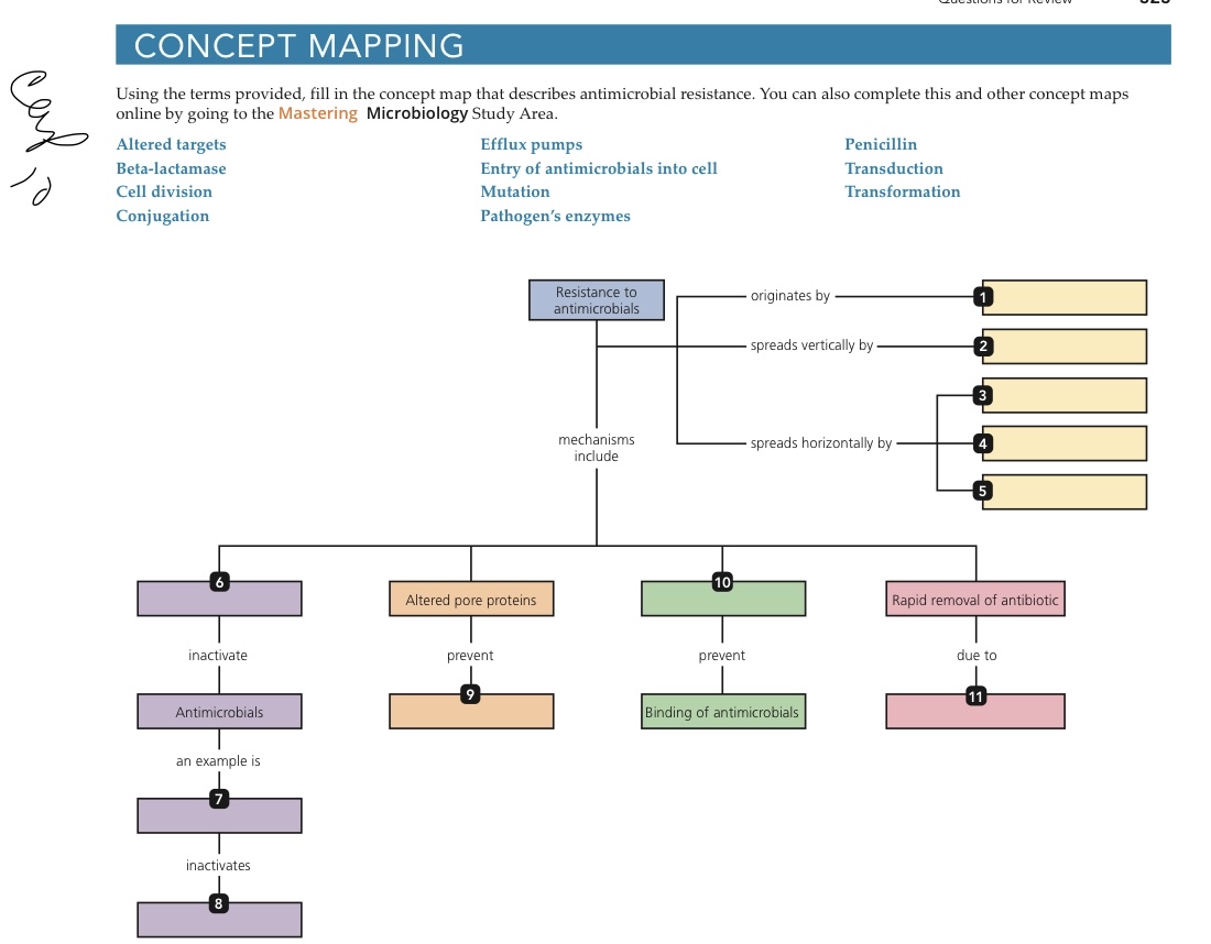 Solved CONCEPT MAPPINGUsing the terms provided, fill in the | Chegg.com