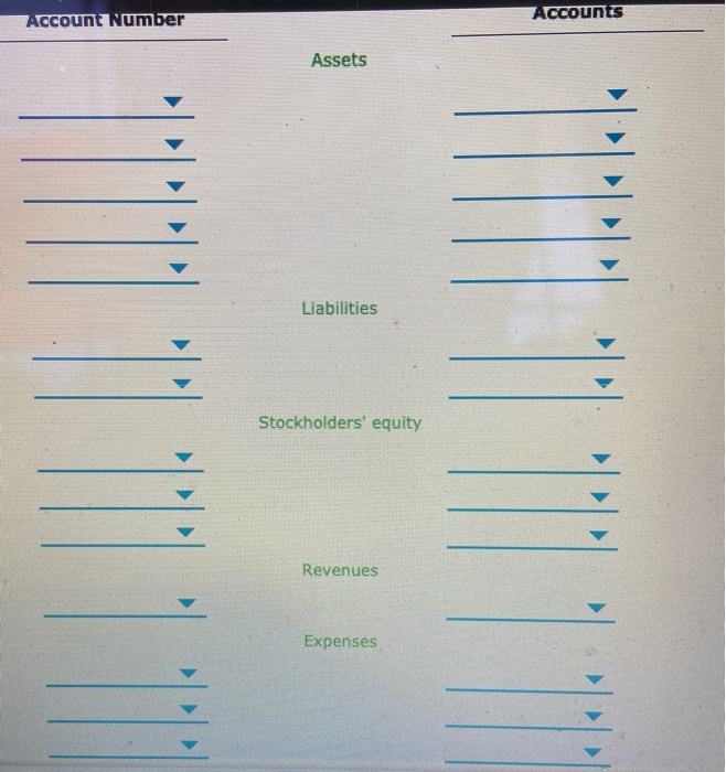 Solved Chart of Accounts LeadCo School is a newly organized | Chegg.com