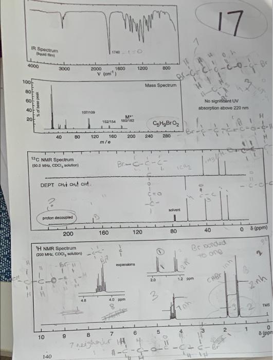 Solved mo 17 1 IR Spectrum 1740 0 4000 Br 3000 1200 800 2000 | Chegg.com