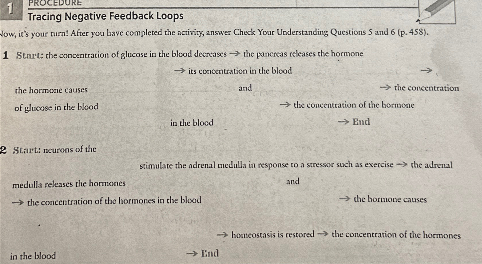 Solved Tracing Negative Feedback LoopsNow, it's your turn! | Chegg.com