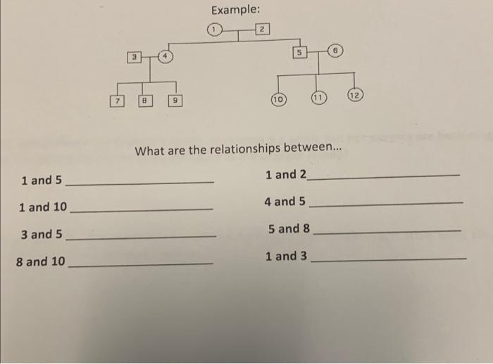 Solved What are the relationships between... 1 and 5 1 and 2 | Chegg.com