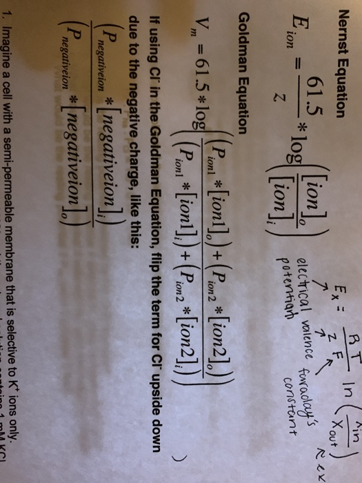 Solved Edit: A written explanation along with the Goldman | Chegg.com