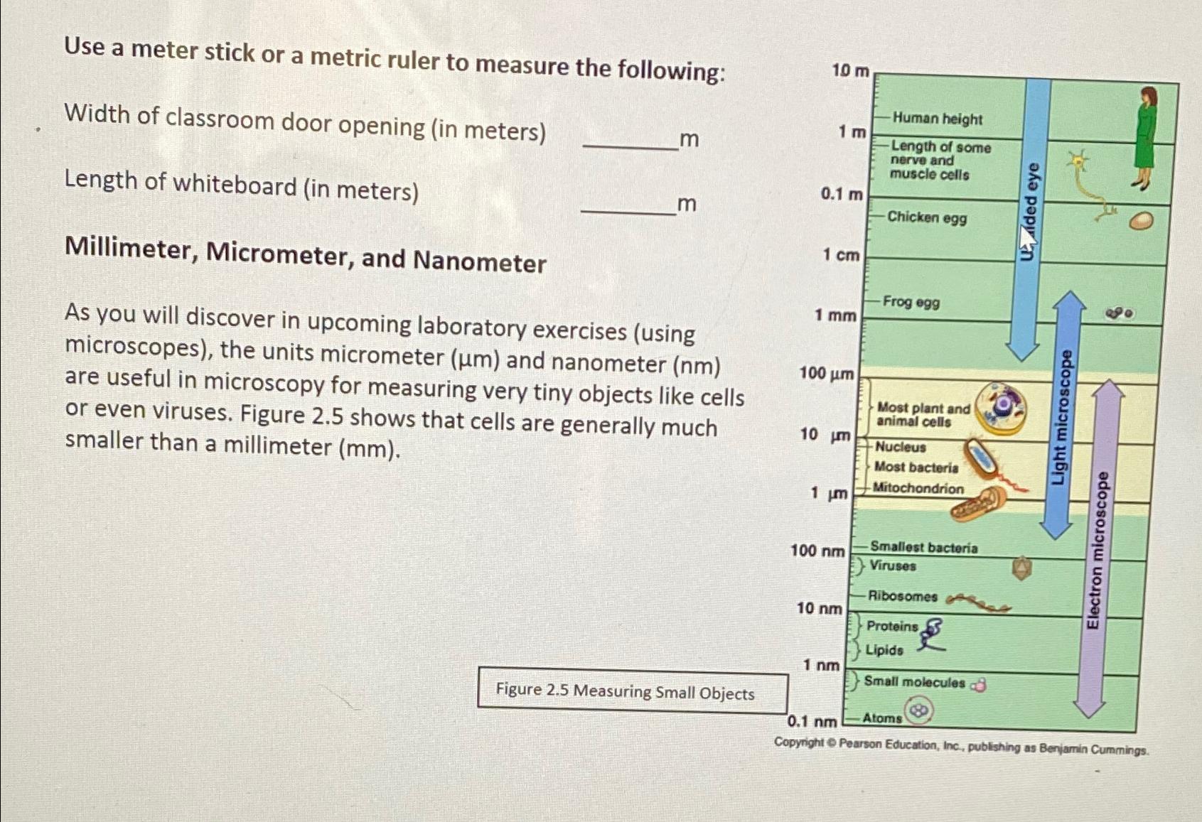 Solved Use a meter stick or a metric ruler to measure the | Chegg.com