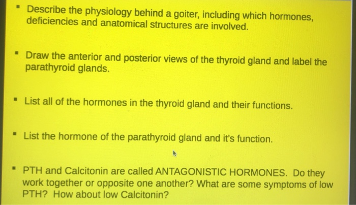 Solved " Describe the physiology behind a goiter, including | Chegg.com