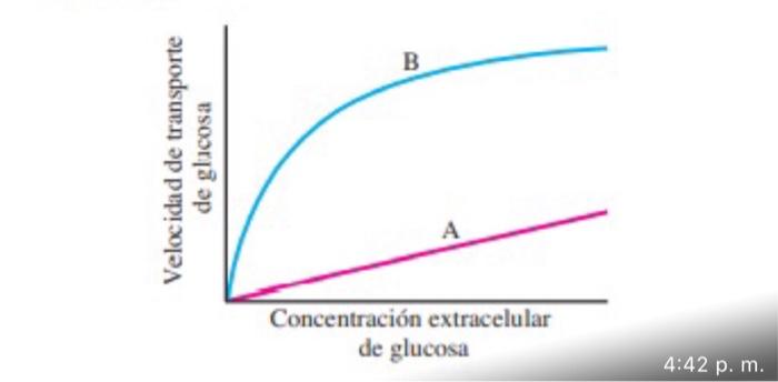 Solved 11. Glucose enters some cells by simple diffusion | Chegg.com
