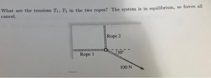 Solved What are the tensions T1,T2 in the two ropes? The | Chegg.com