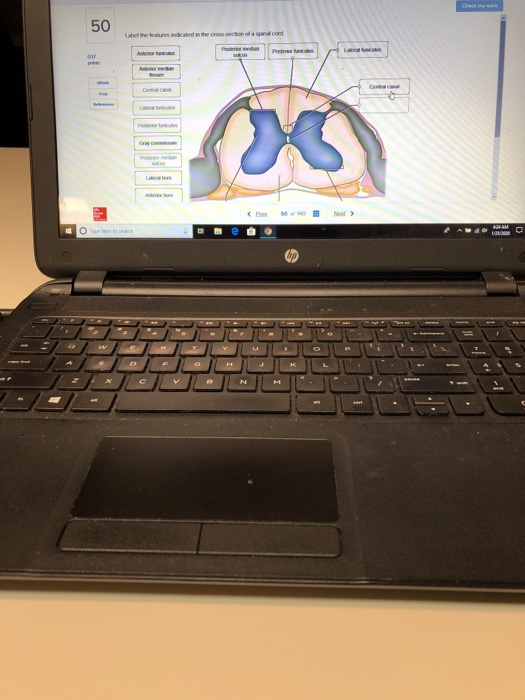 Solved Label the features indicated in the cross-section of | Chegg.com