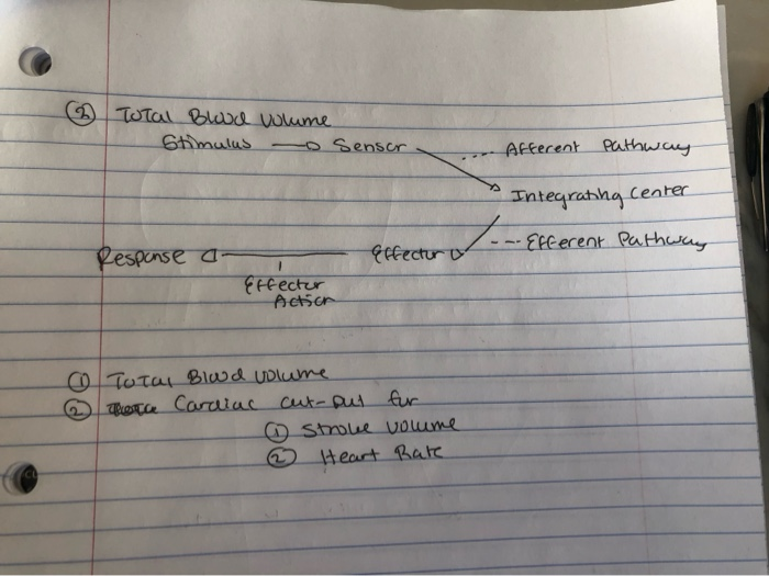 Solved Negative feedback loops for the 3 main things | Chegg.com
