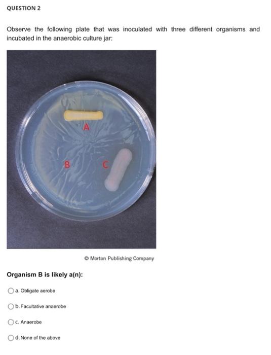 Solved QUESTION 2 Observe the following plate that was | Chegg.com