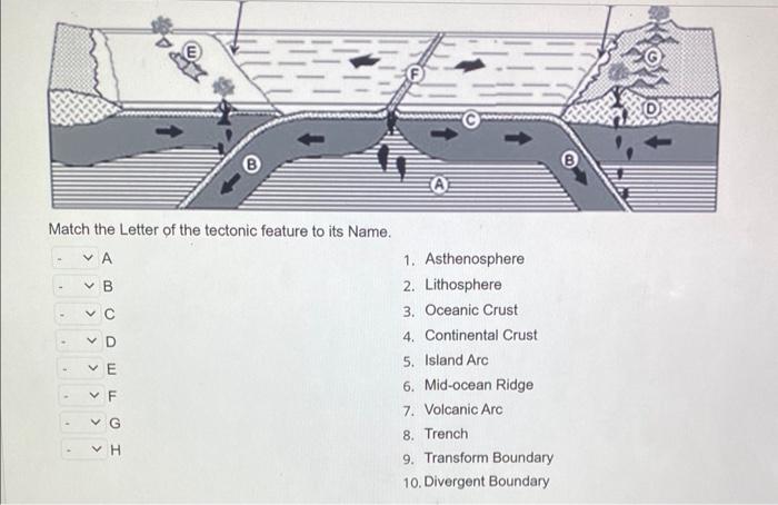 Solved Match the Letter of the tectonic feature to its Name. | Chegg.com