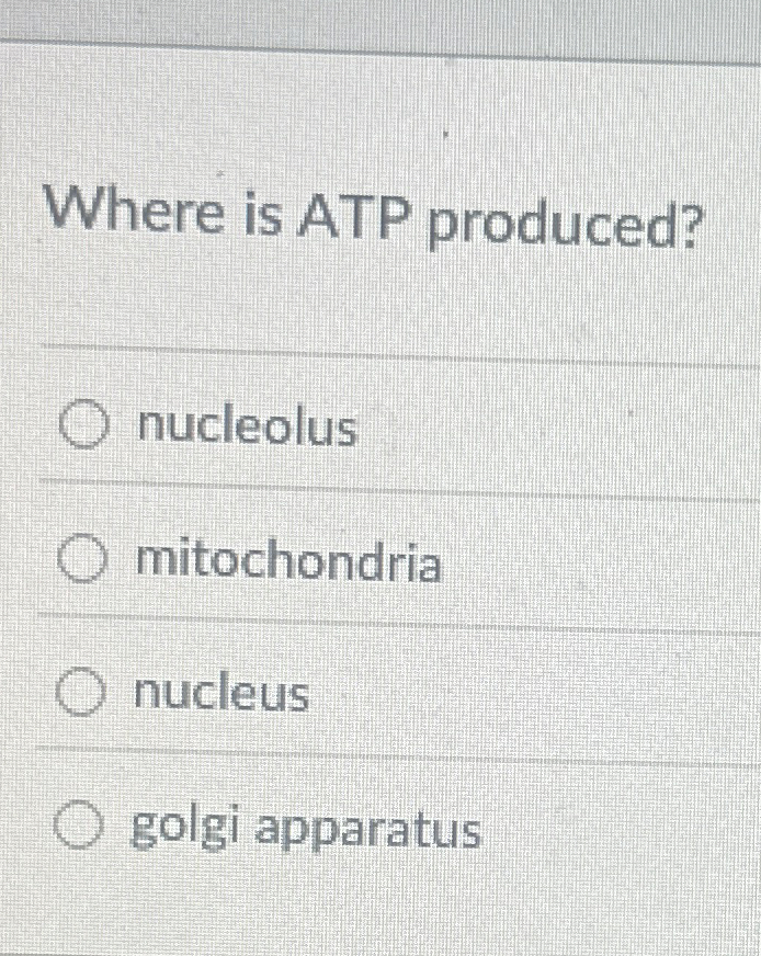 Solved Where is ATP | Chegg.com