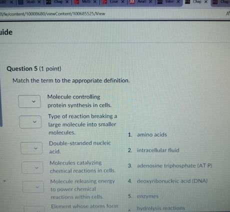 Solved Question 5 (1 ﻿point)Match the term to the | Chegg.com