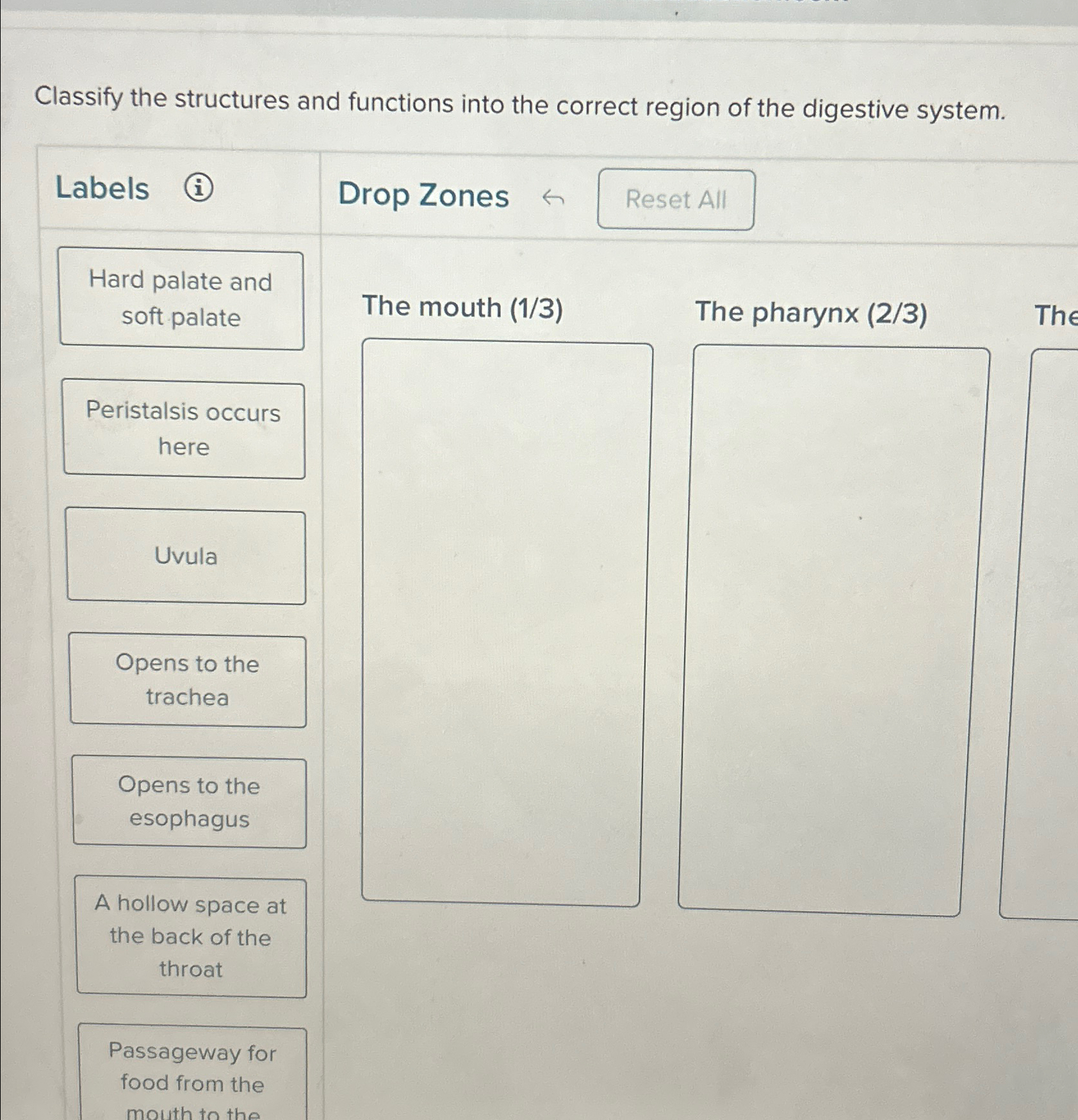 Solved Classify the structures and functions into the | Chegg.com