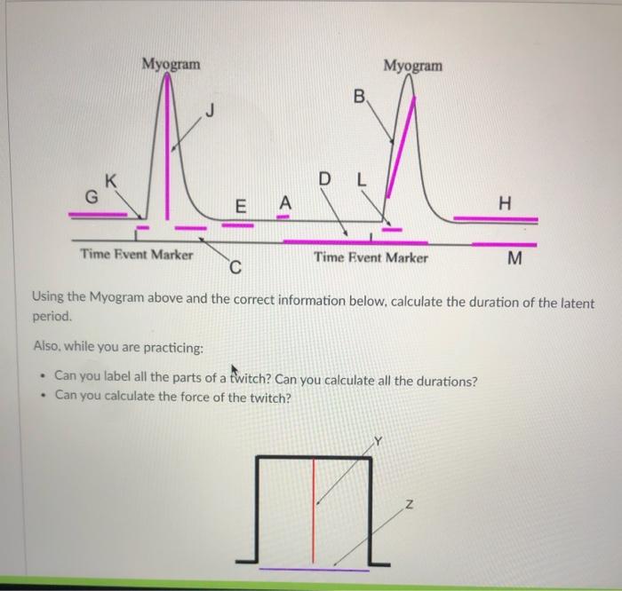 Solved Myogram Myogram В. J D L K. G E A H Time Event Marker | Chegg.com
