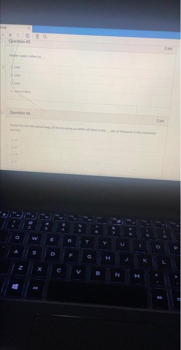 Solved Anger codorintentar. Quention 40 Amber codon refers | Chegg.com