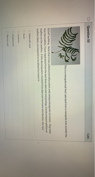 Solved Question 11 1 pts Boundaries between different organs | Chegg.com