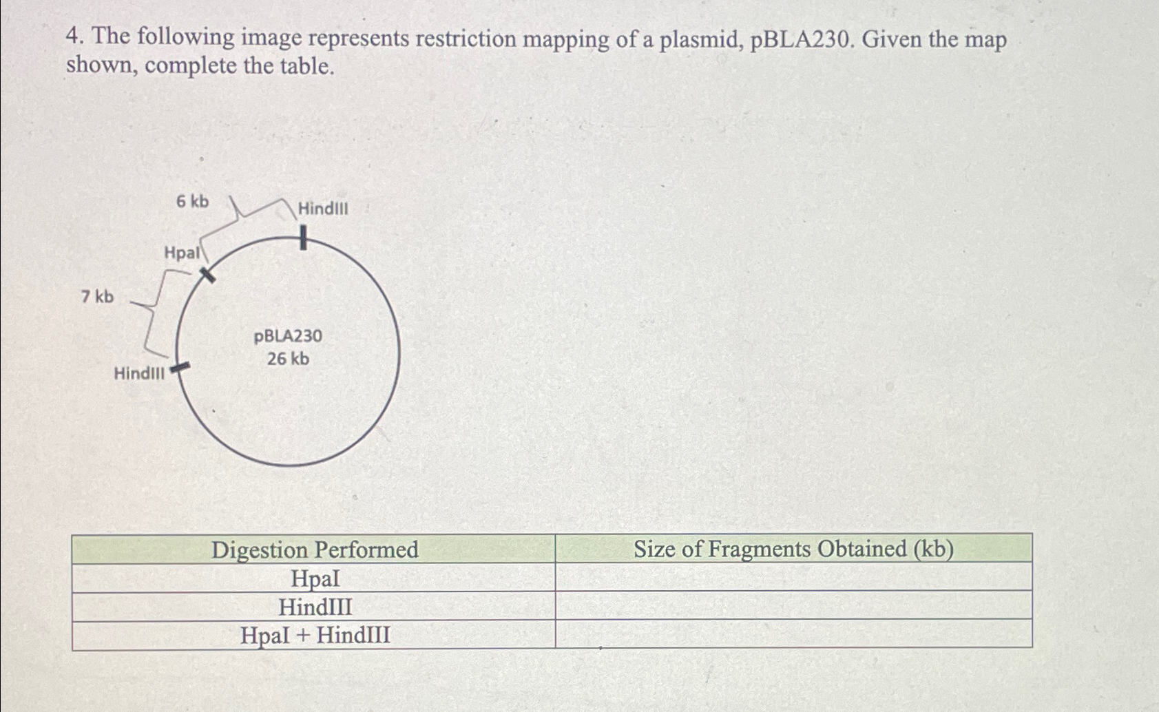 Solved The following image represents restriction mapping of | Chegg.com
