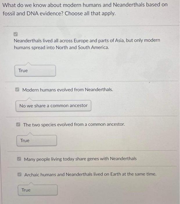 Solved What do we know about modern humans and Neanderthals | Chegg.com