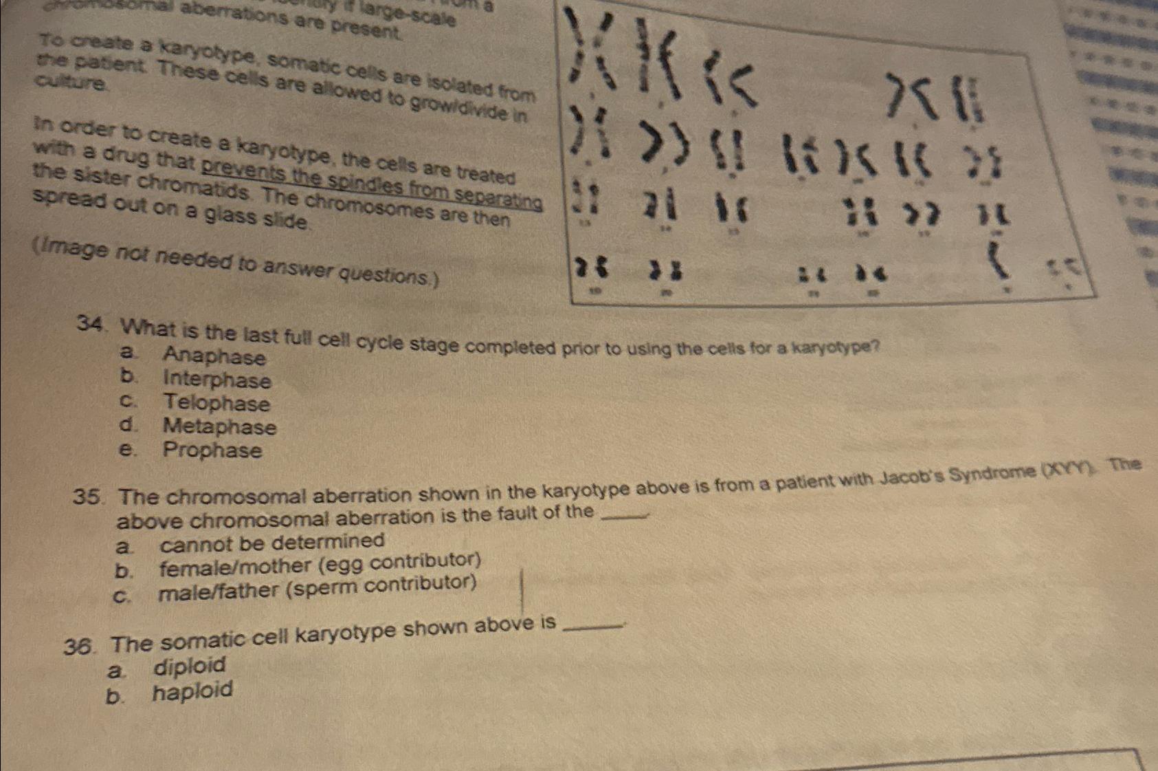 Solved To create a karyotype, somatic cells are isolated | Chegg.com