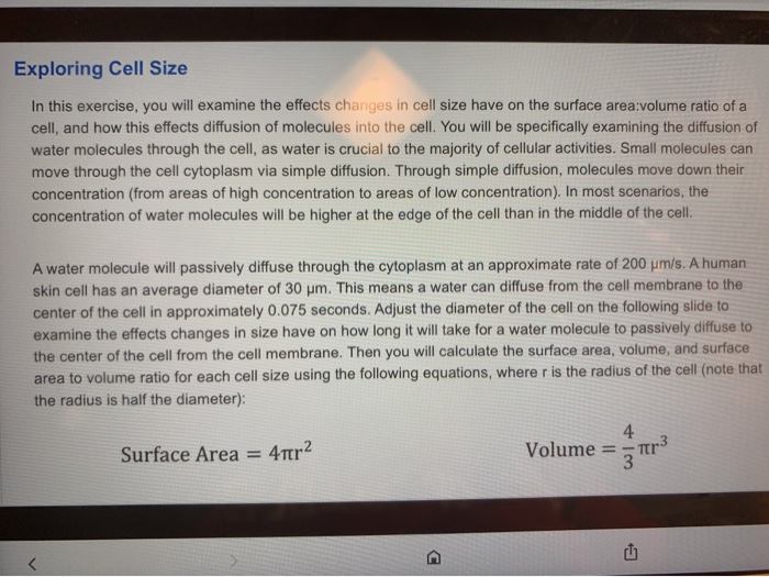 Solved Paragraph Table 2: Surface Area and Volume in | Chegg.com