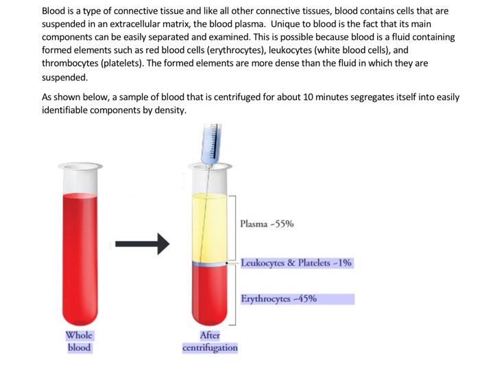 Solved Blood is a type of connective tissue and like all | Chegg.com