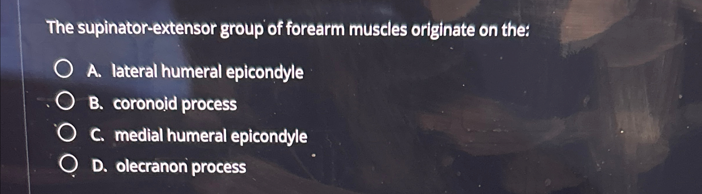 Solved The supinator-extensor group of forearm muscles | Chegg.com