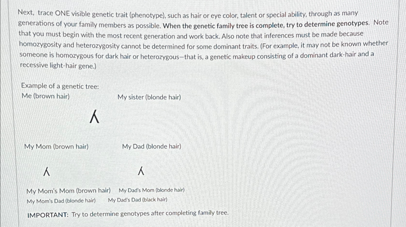 Solved Next, trace ONE visible genetic trait (phenotype), | Chegg.com