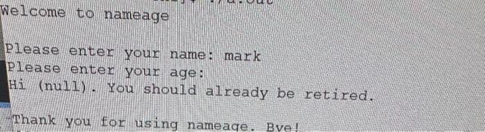 Solved Welcome to nameage please enter your name: mark | Chegg.com