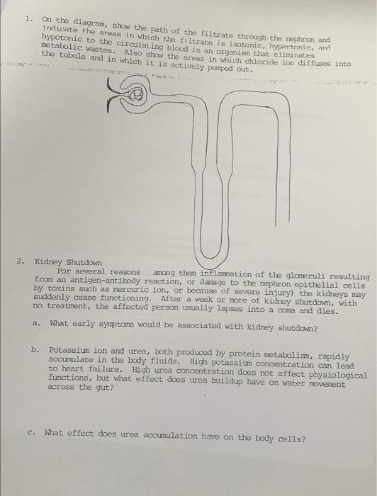 Solved 1. On the diagram, show the path of the filtrate | Chegg.com