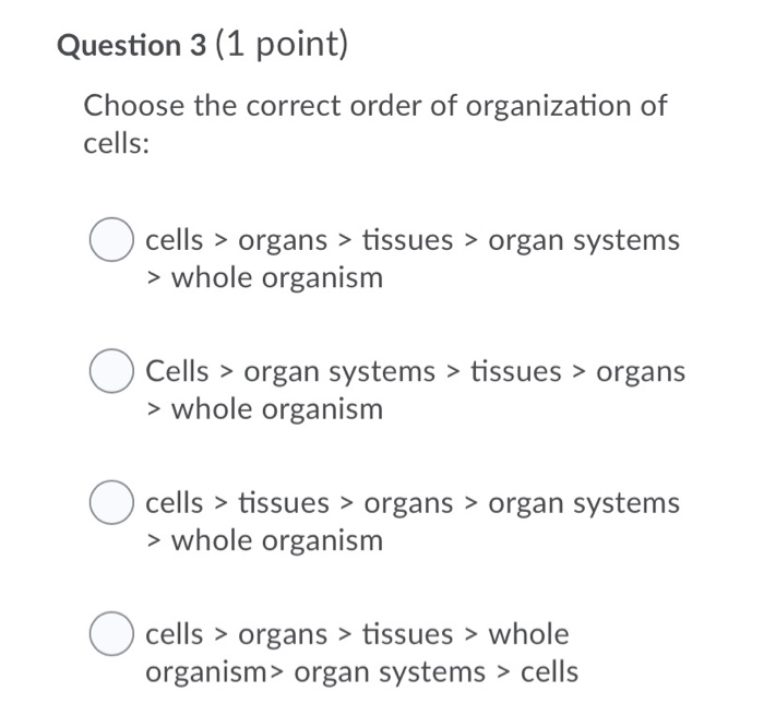 Solved Question 3 (1 point) Choose the correct order of | Chegg.com