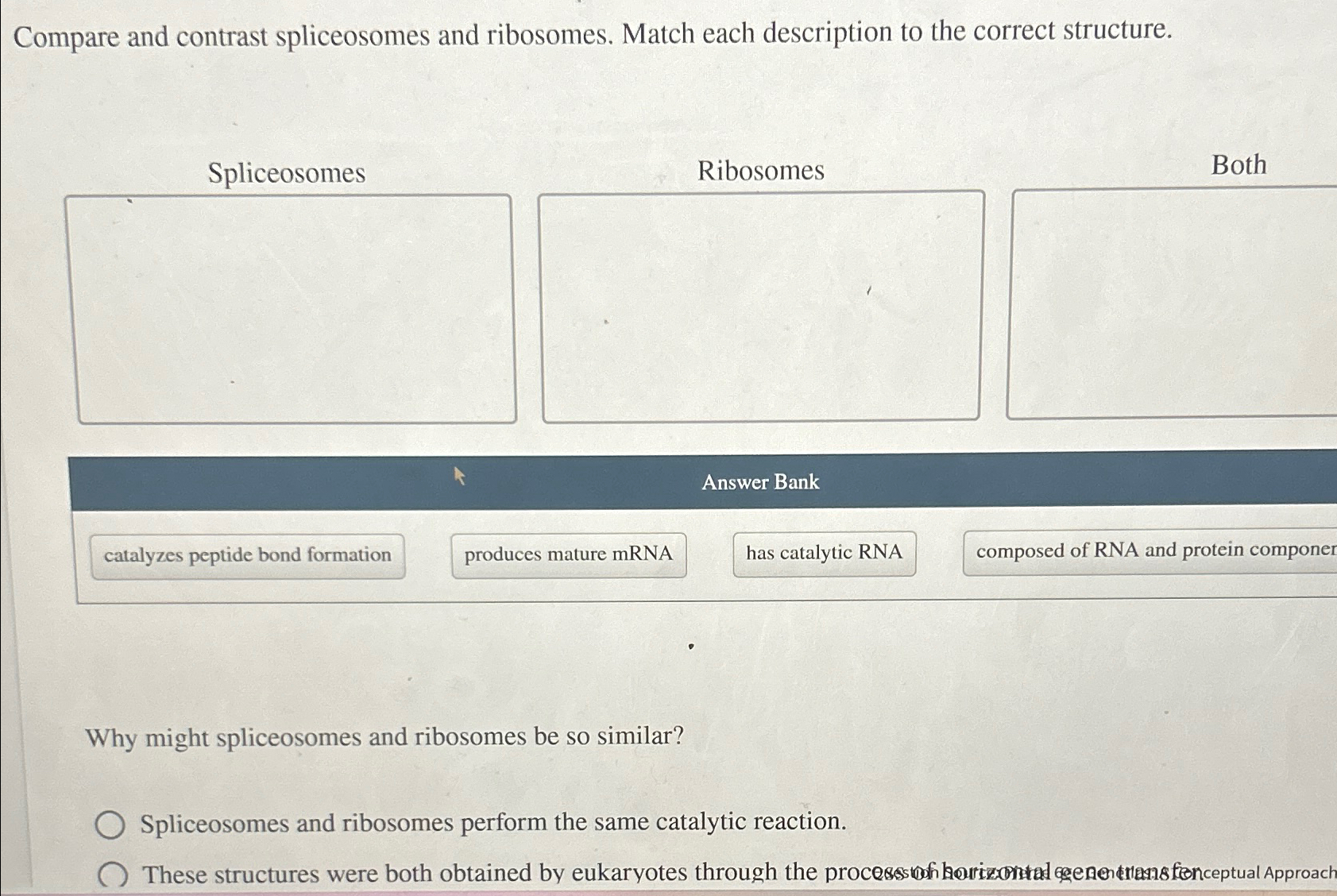Solved Compare and contrast spliceosomes and ribosomes. | Chegg.com
