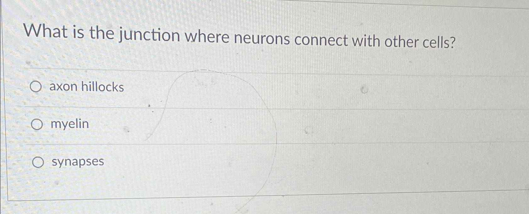 Solved What is the junction where neurons connect with other | Chegg.com