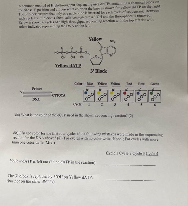 Solved A common method of High-throughput sequencing uses | Chegg.com