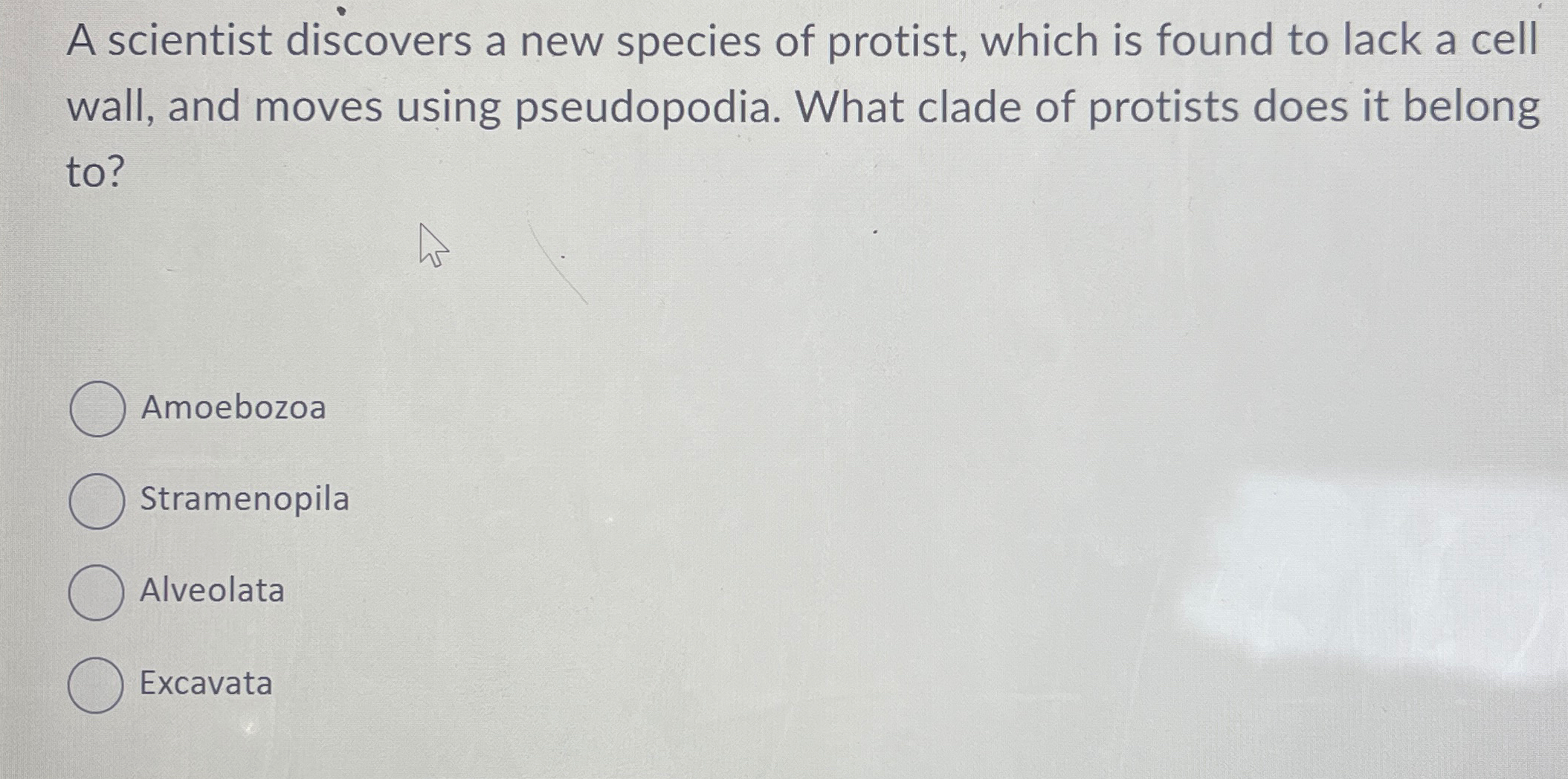 Solved A scientist discovers a new species of protist, which | Chegg.com