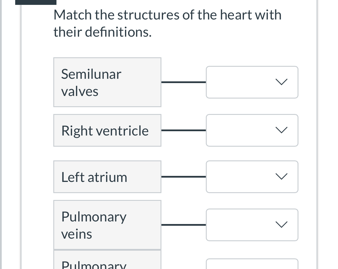Solved Match the structures of the heart with their | Chegg.com