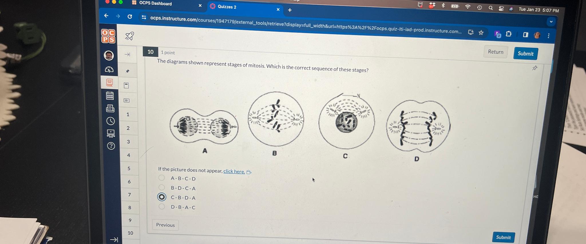 Solved 101 ﻿pointThe diagrams shown represent stages of | Chegg.com