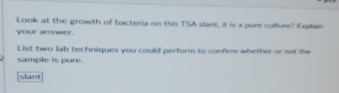 Solved Look at the growth of bacteria on this TSA slant, it | Chegg.com
