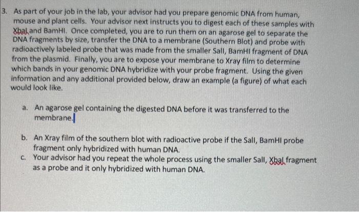 Solved answer with figures for each | Chegg.com