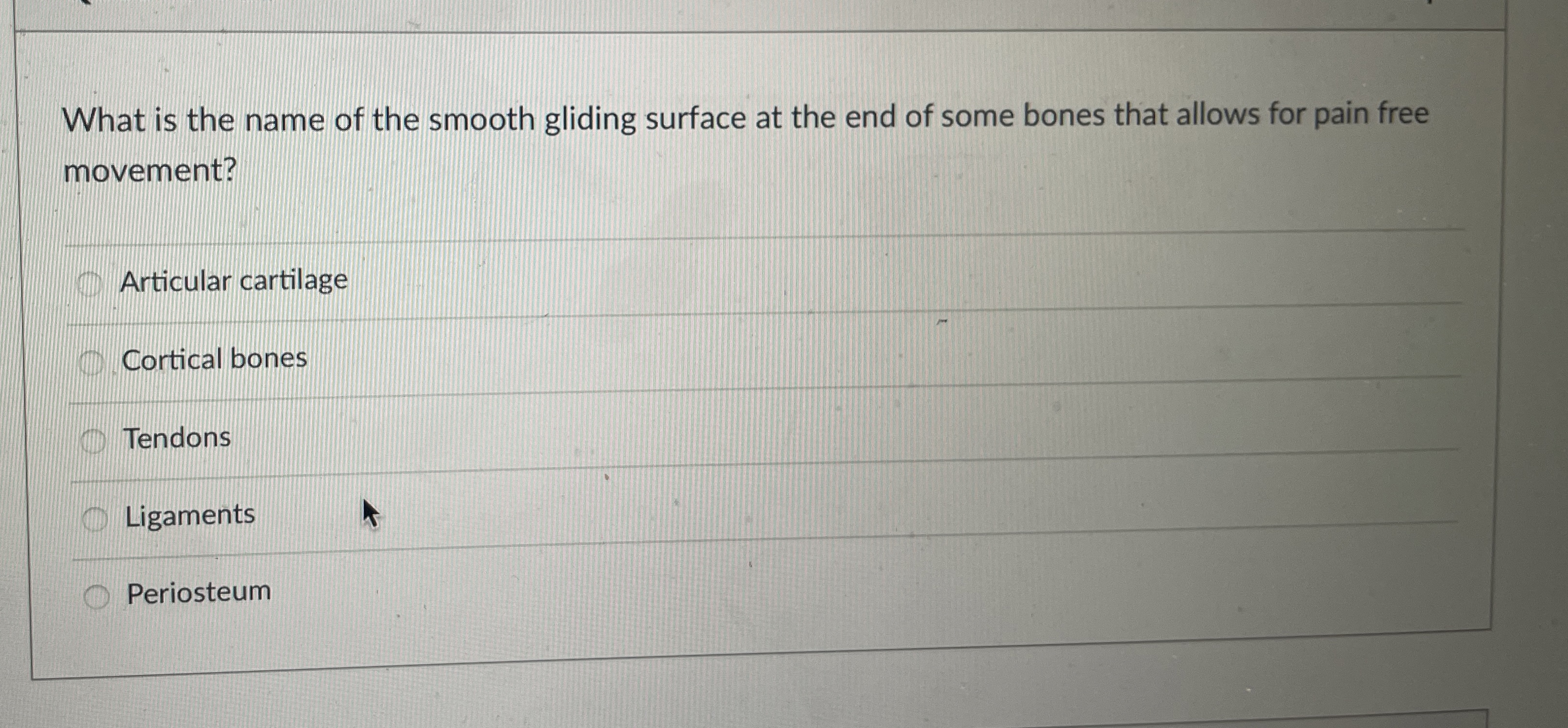 Solved What is the name of the smooth gliding surface at the | Chegg.com