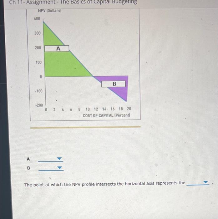 [Solved]: An NPV profle plots a project's NPV at variou