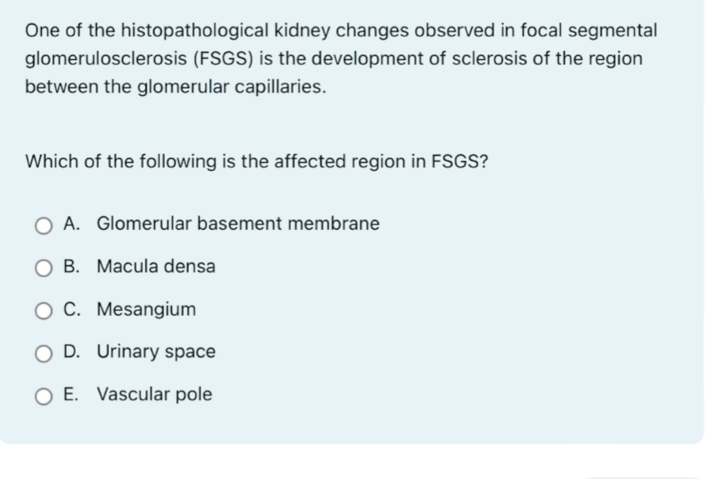 Solved One of the histopathological kidney changes observed | Chegg.com