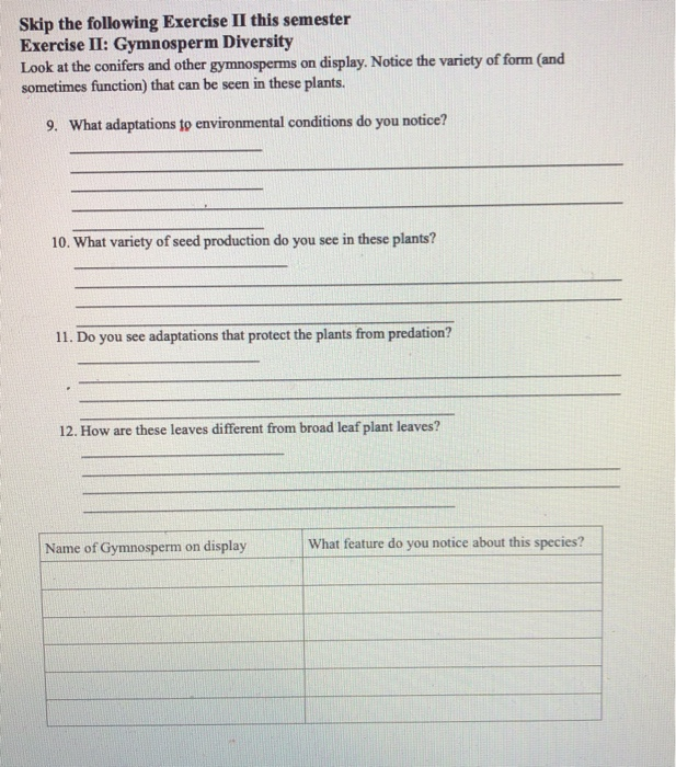 Exercise I: Pinus In conifers, the male and female | Chegg.com