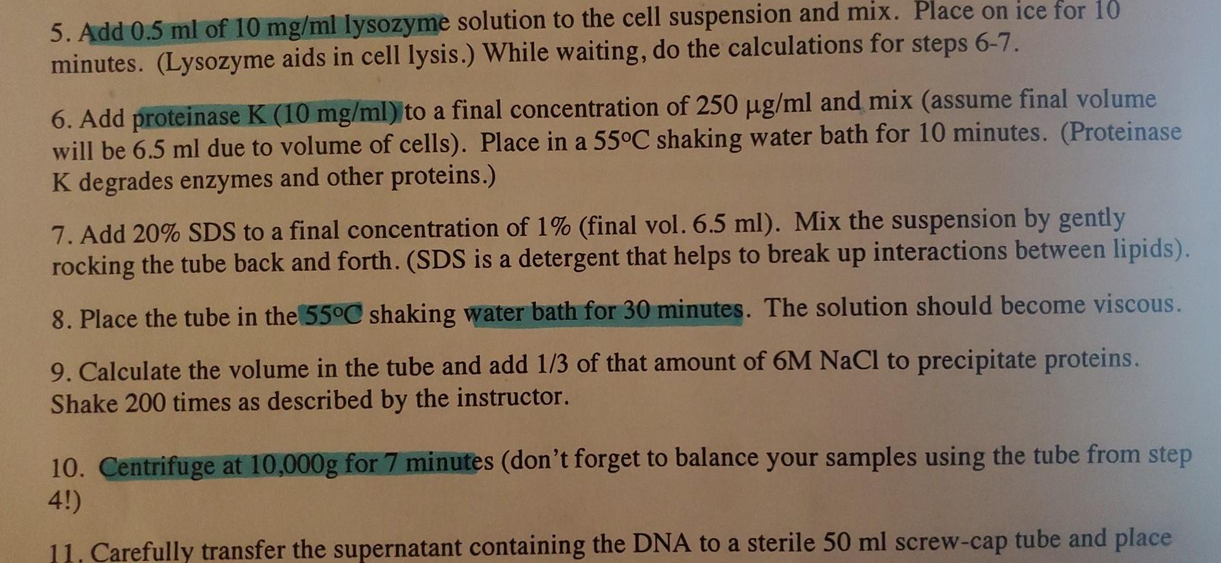 Solved 5. Add 0.5 ml of 10 mg/ml lysozyme solution to the | Chegg.com
