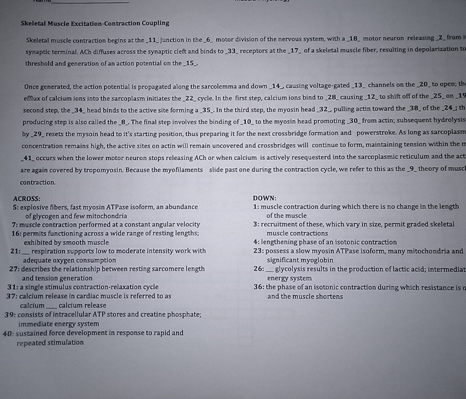 Solved Skeletal Muscle Excitation-Contraction | Chegg.com