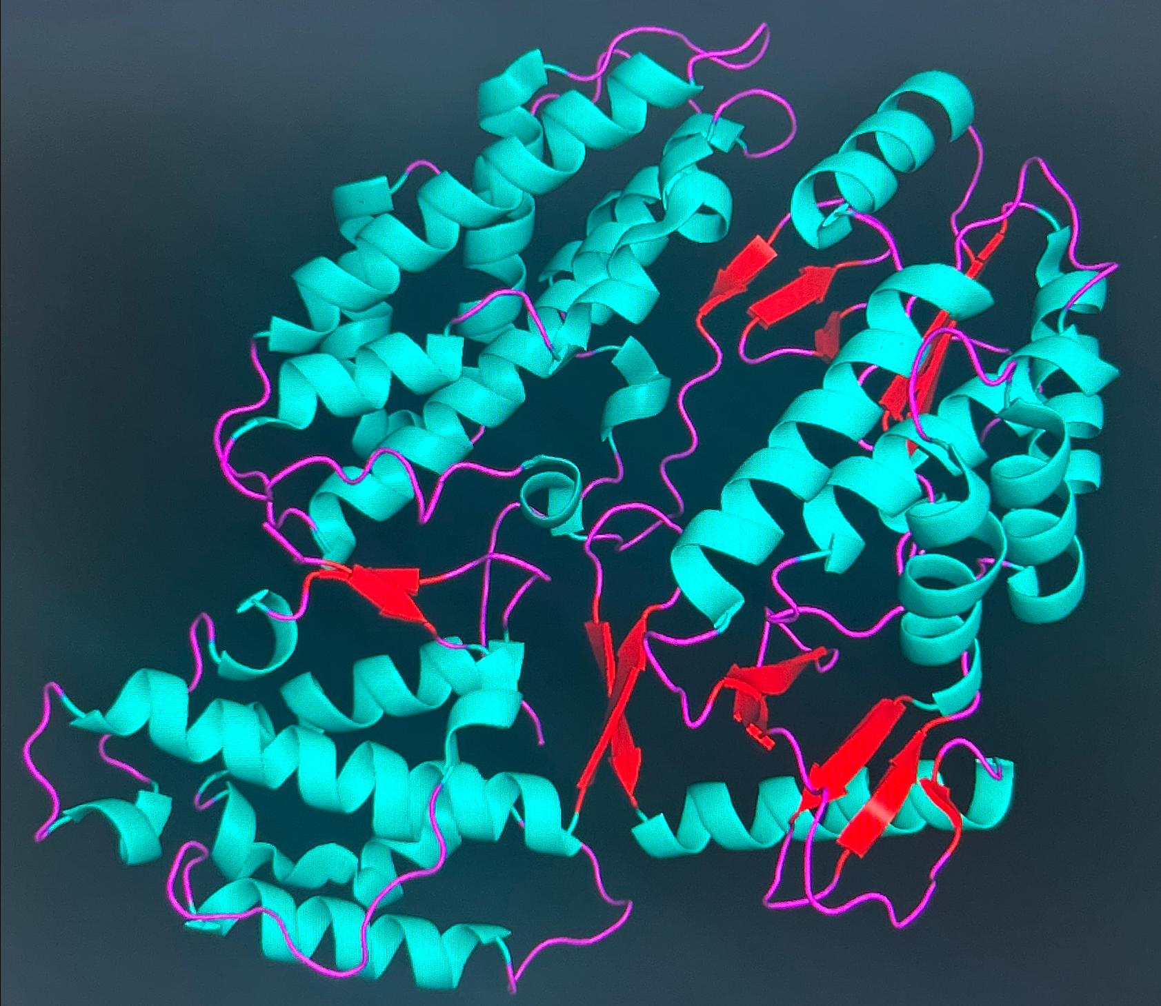 Solved - ﻿the N-terminal amino acid- ﻿the first alpha helix | Chegg.com