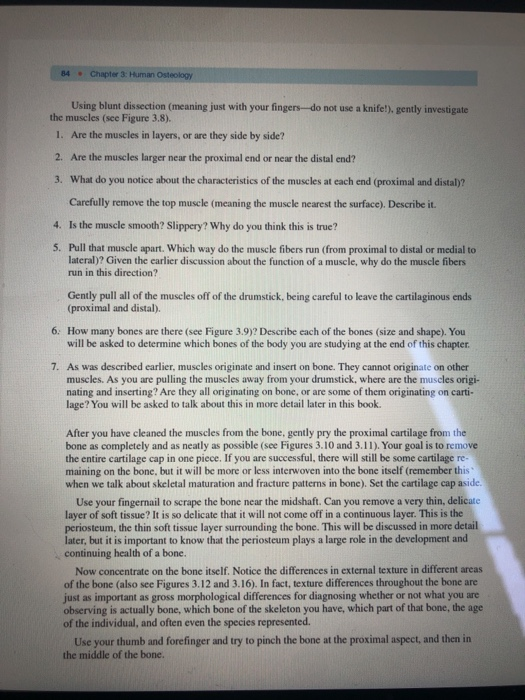 84 Chapter 3: Human Osteology Using blunt dissection | Chegg.com