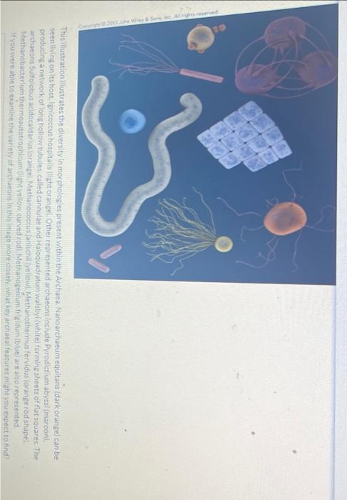 Solved This illustration illustrates the diversity in | Chegg.com