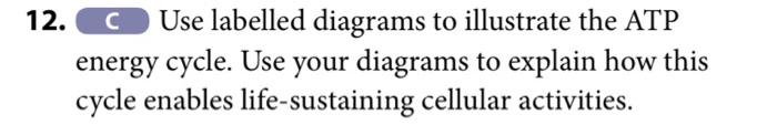 Solved 12. C Use labelled diagrams to illustrate the ATP | Chegg.com