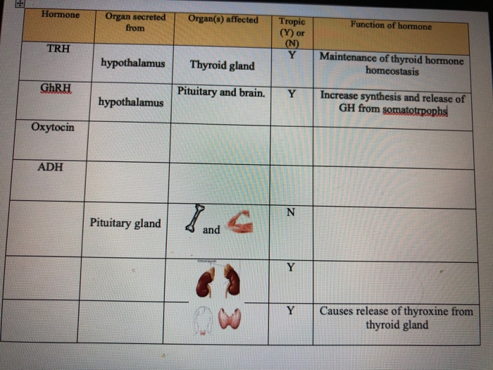 Solved 1- Hormone Organ secreted from Organ(s) affected | Chegg.com